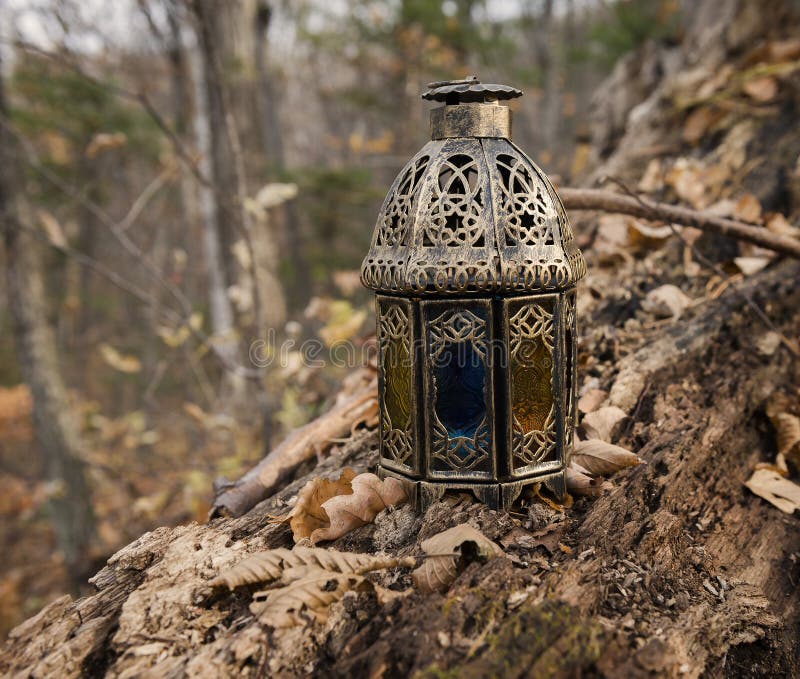 Lantern with Magic Light in the Forest Stock Photo - Image of calm ...