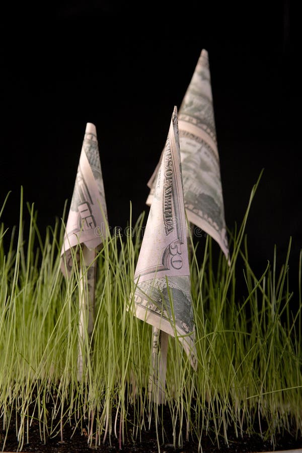 Magic lawn stock photo. Image of abstract, concepts, luck - 12718750