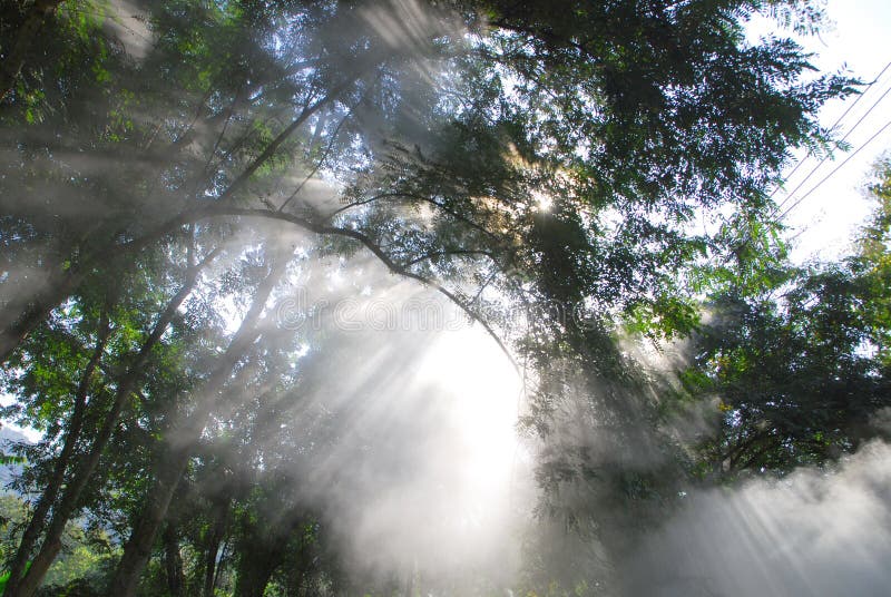 Magic light beams stock photo. Image of blur, bright - 35296990