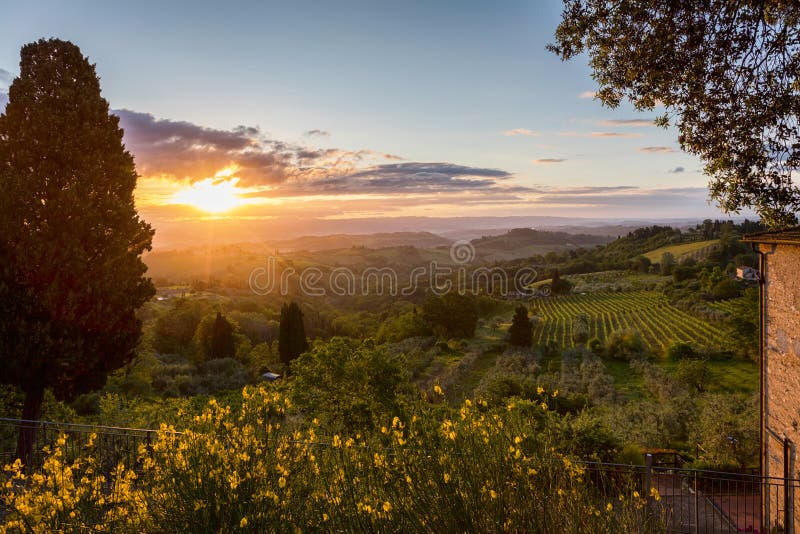 Magic light of Tuscany stock photo. Image of fence, springtime - 84487160