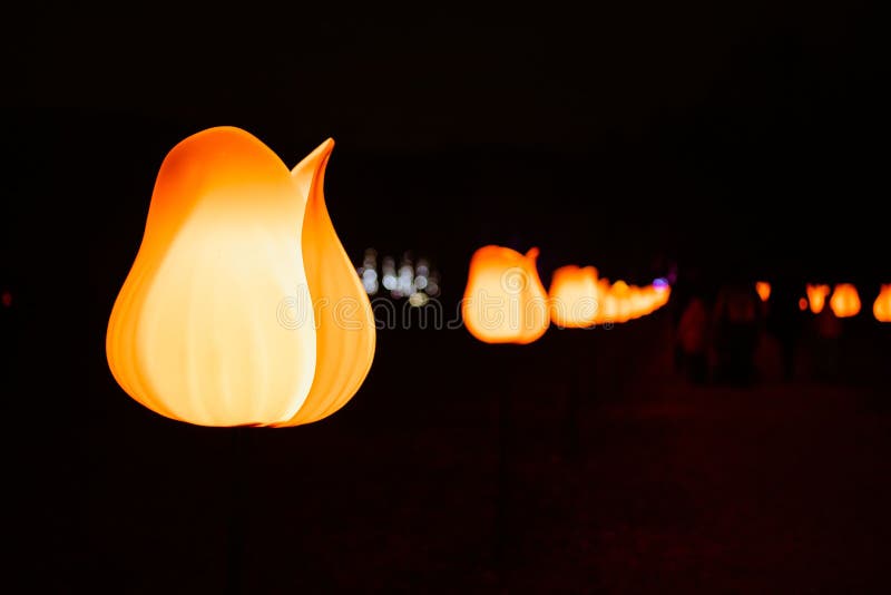 Magic Lights in the Night stock image. Image of night - 265620715