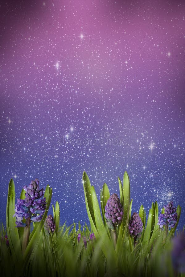 Magic meadow stock illustration. Illustration of season - 14281366