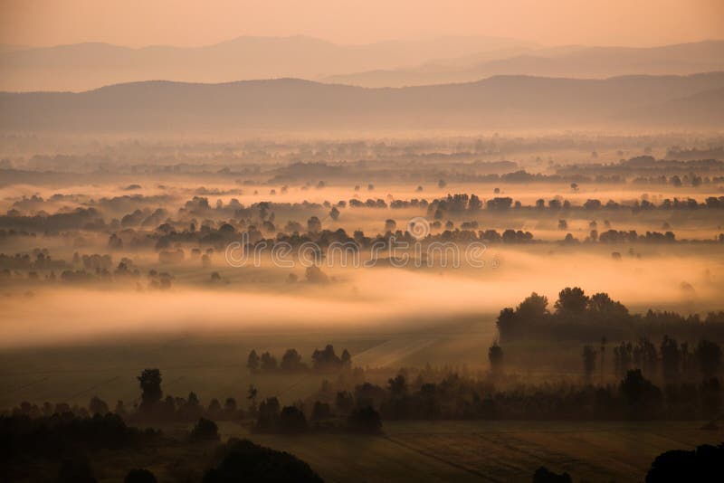 Magic morning stock image. Image of trees, nature, fields - 18606643