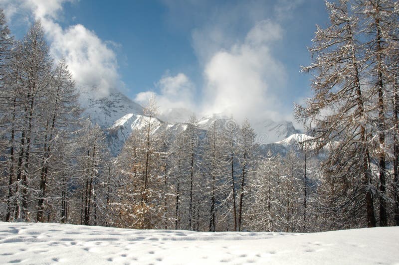 Magic Mountain Picture. Image: 4835391