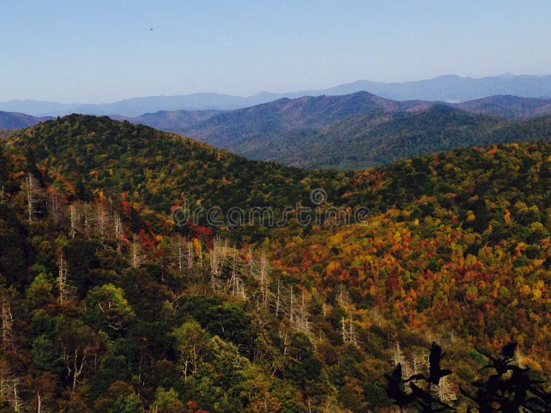 Magic Mountains in Fall stock image. Image of hill, wilderness - 48314593