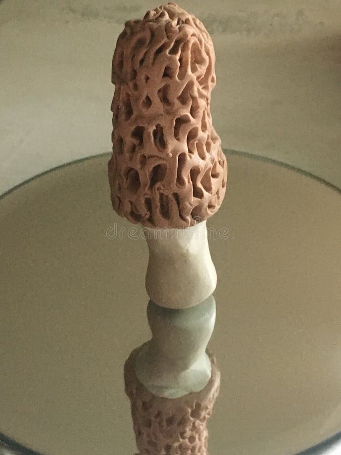 Magic mushroom stock image. Image of morel, figurine - 114184779