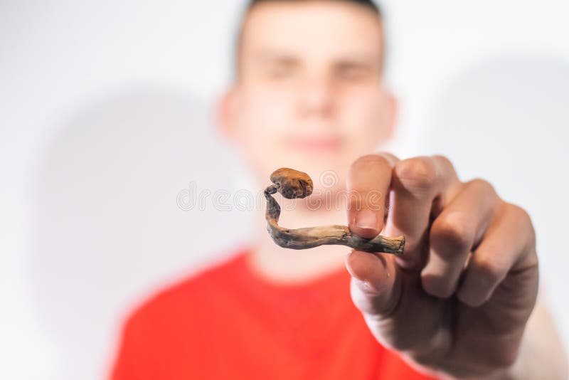 Magic Mushrooms Microdosing Stock Photo - Image of anxiety, psilocybin ...