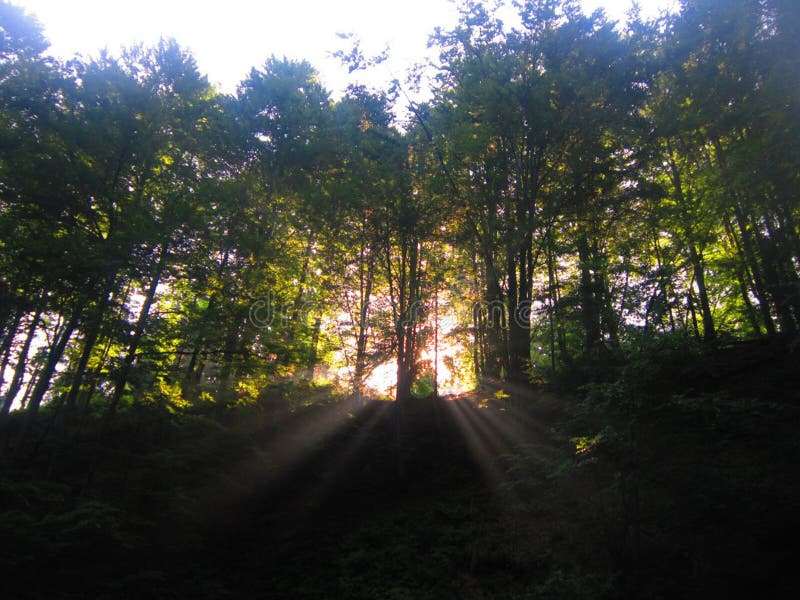 Magic nature stock photo. Image of water, nmagic, grass - 80619302