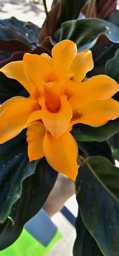 Magic Nature and Unlimited Sky Stock Image - Image of magic, unlimited ...