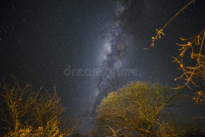 The Magic of the Night Sky of Namibia Stock Image - Image of namib ...
