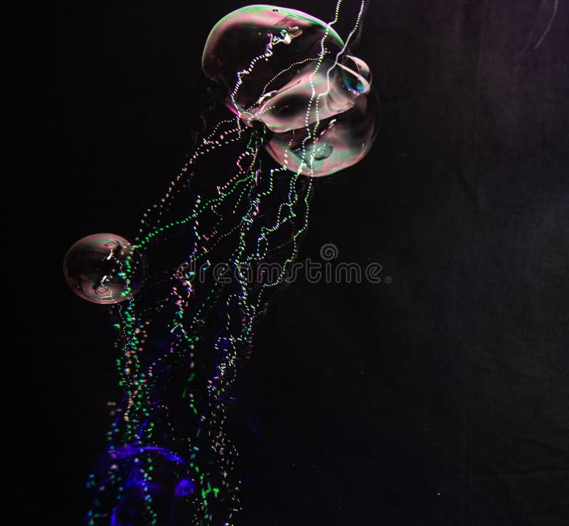 Magic Orb Dance stock image. Image of motion, color - 137507763