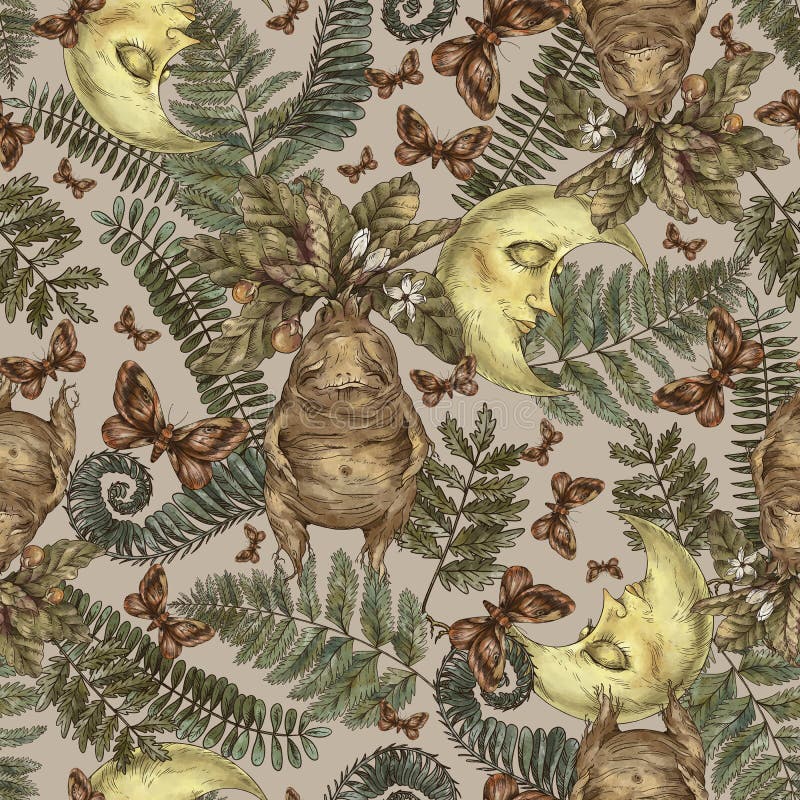 Mandrake Pattern Stock Illustrations – 60 Mandrake Pattern Stock ...