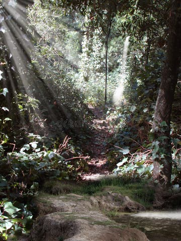 Magic pond stock photo. Image of clouds, lighting, dream - 7632380