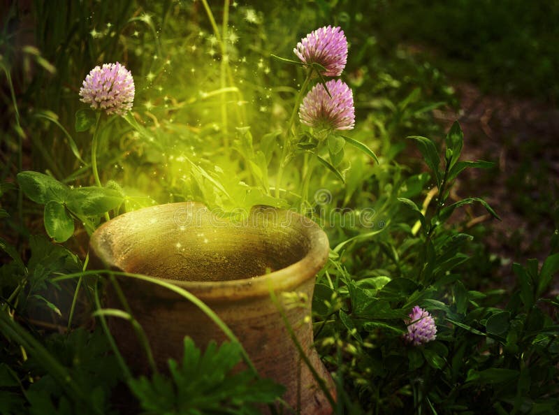 Magic Pot with Flowers Clover Stock Photo - Image of fairy, legends ...
