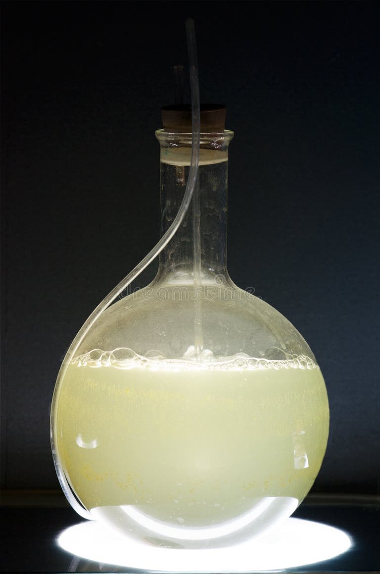 216 Potion Witchcraft Concoction Stock Photos - Free & Royalty-Free ...