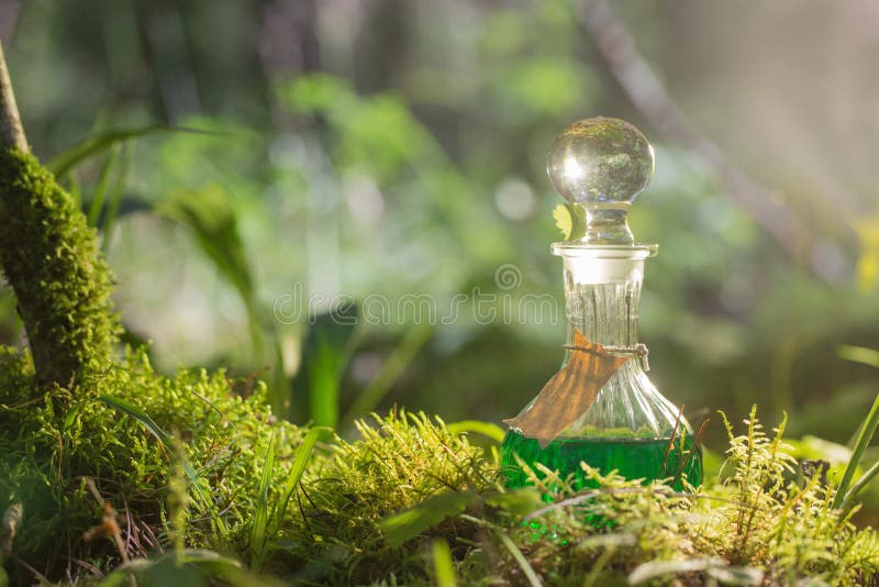Magic Potion in Bottle in Forest Stock Image - Image of glass, fantasy ...