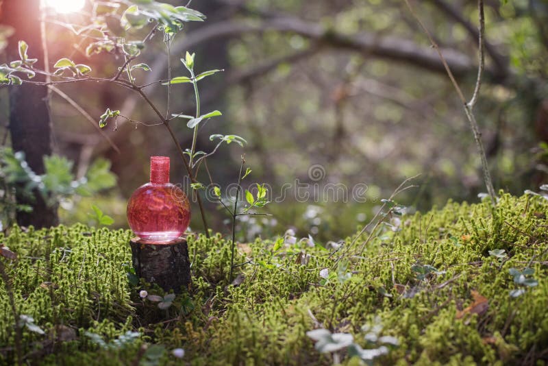 Magic Potion on Bottle in Forest Stock Photo - Image of concept, magic ...