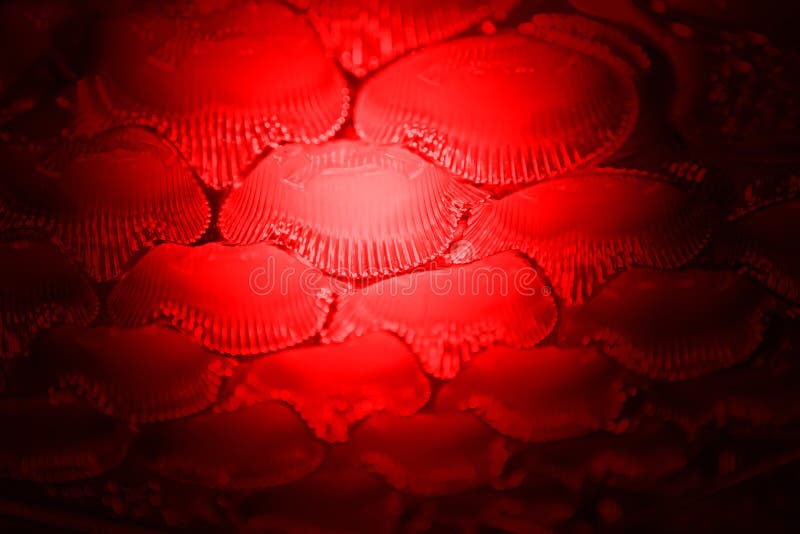 Magic Red Light Over Cell Surface, Unknown Science, Stock Image - Image ...