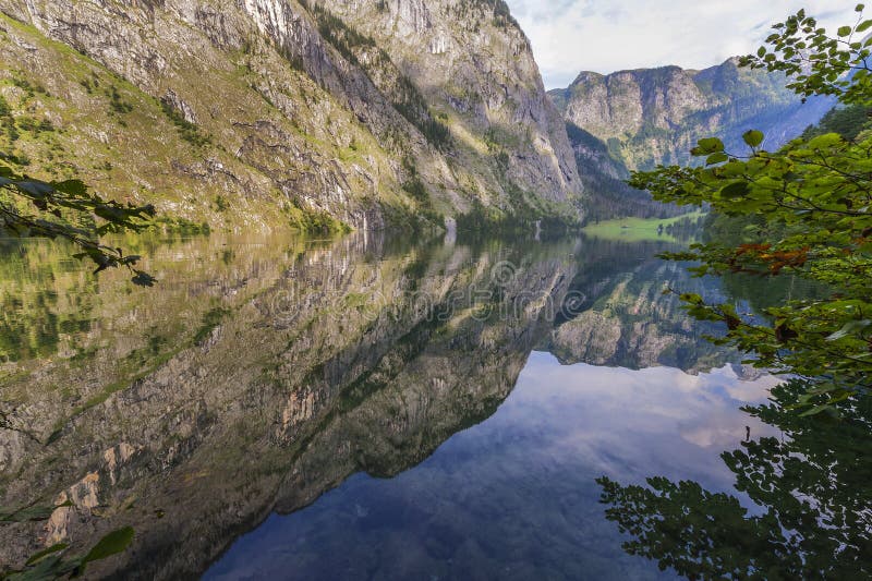 Magic Reflections stock photo. Image of tree, nature - 68875334
