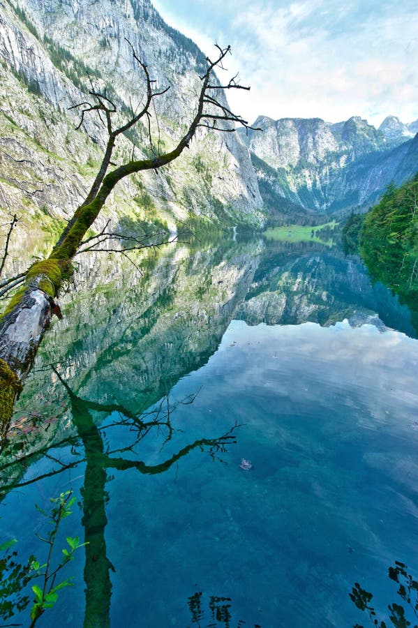 Magic Reflections stock photo. Image of fabulous, landscape - 49049436