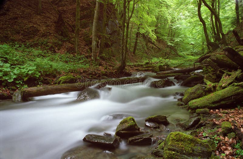 Magic River stock image. Image of outdoor, valley, trees - 828537