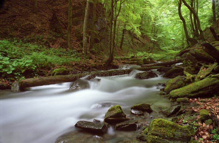 Magic River stock image. Image of outdoor, valley, trees - 828537