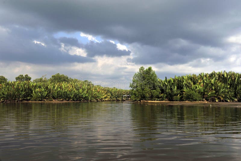 Congo river stock image. Image of central, north, province - 44907189