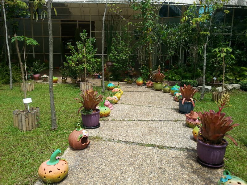Magic Road in the Autumn Forest Stock Photo - Image of season, beam ...