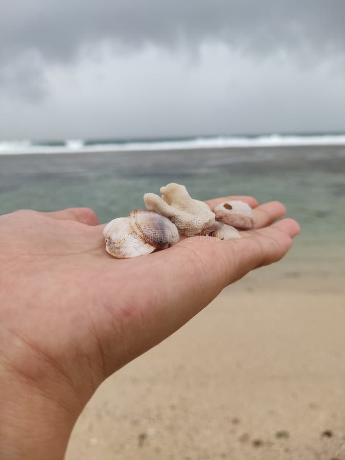 Magic Rock on the Coast Ujunggenteng Stock Photo - Image of land, magic ...