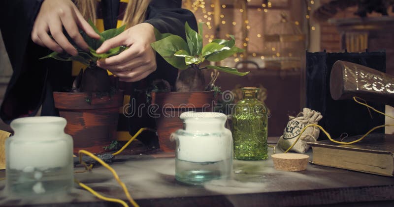 Magic School Botany Class, a Student is Working with the Mandragora ...