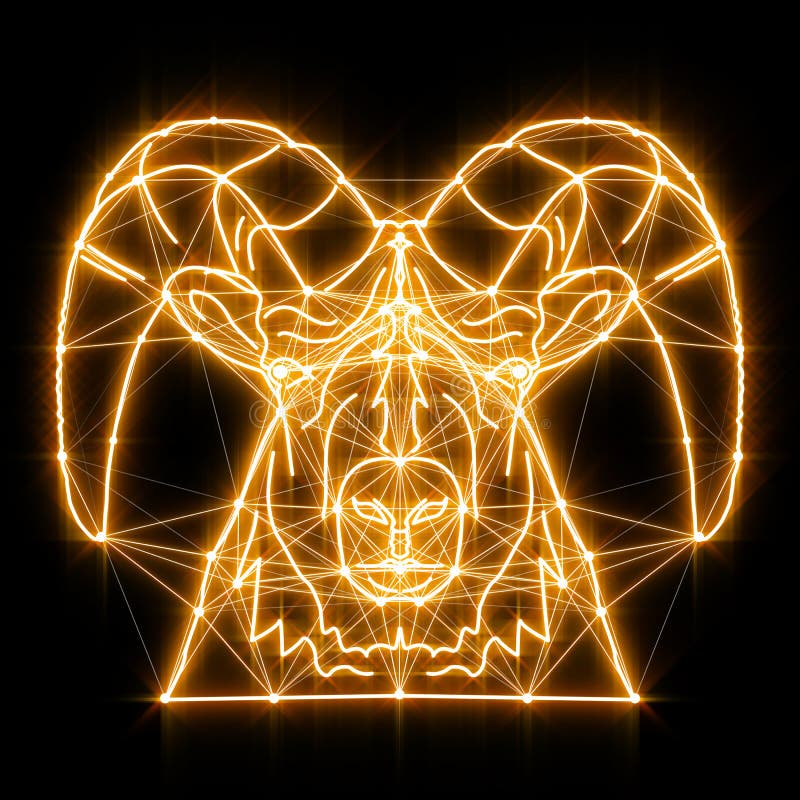 Magic Shiny Sheep Lines Connected with Dots Stock Illustration ...