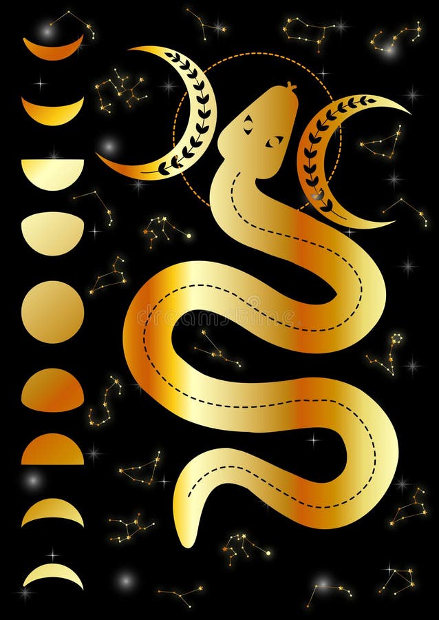 Magic Snake with Moon Phases Stars and Constellations in Gold Stock ...