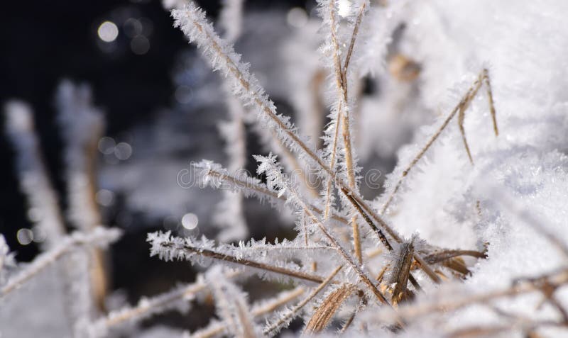 The Magic of Snow crystals stock photo. Image of highlights - 210470394