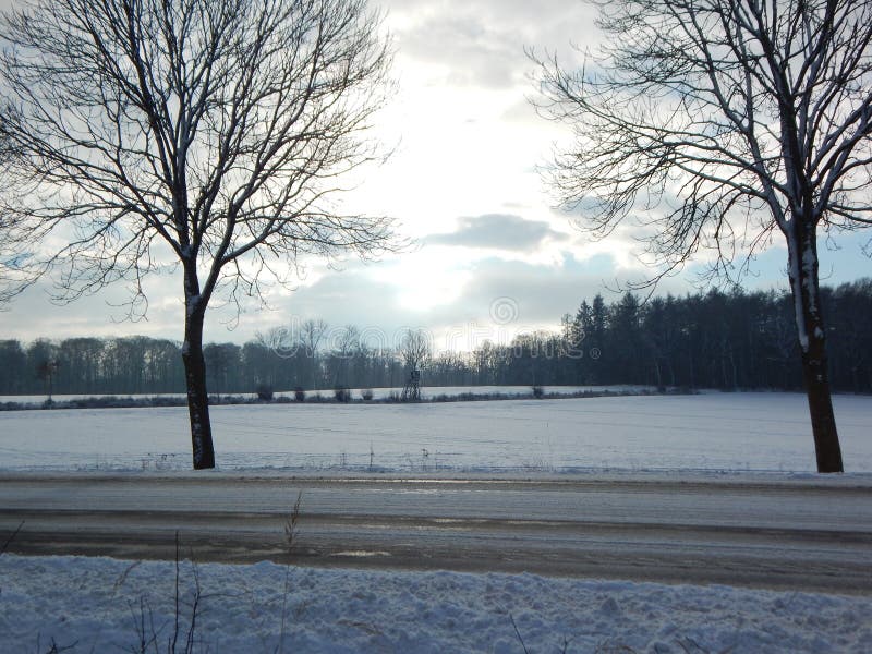 The Magic of Snow Fallen at Night Stock Image - Image of winter ...