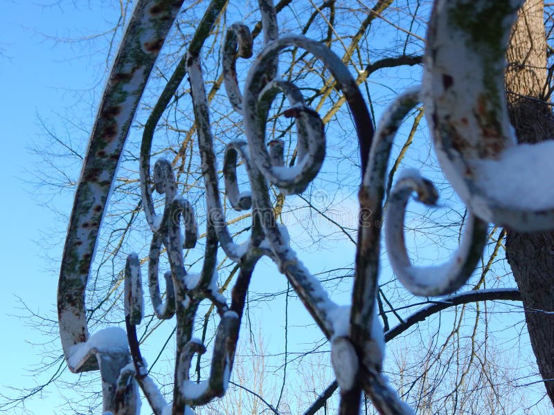 The Magic of Snow Fallen at Night Stock Image - Image of trunk, blue ...
