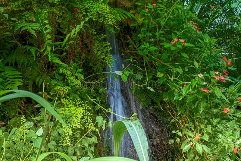 Magic source stock photo. Image of hills, magic, spray - 98187520