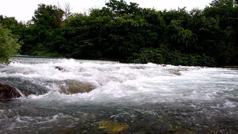 The Magic of Spring, How the Landscape Along the Stream Changes Stock ...