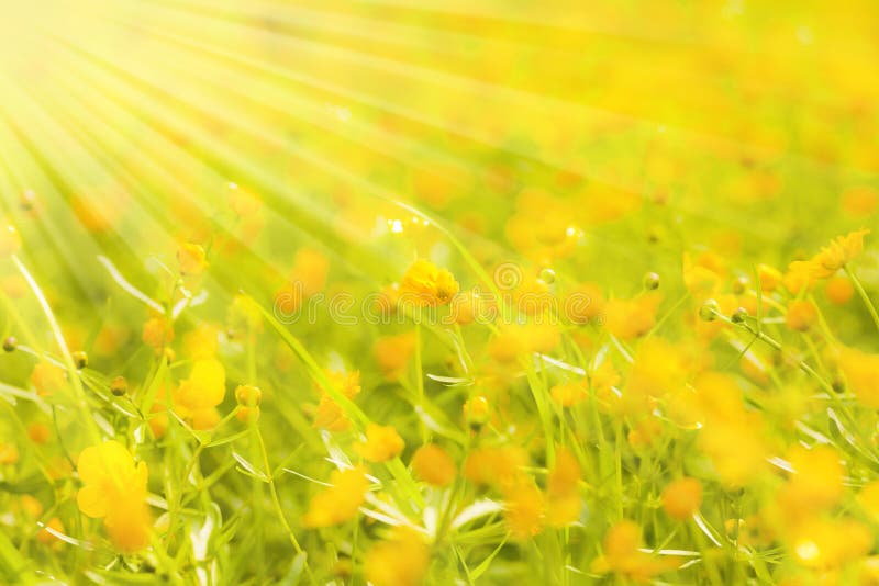 Magic spring stock image. Image of scenic, country, rural - 30456395