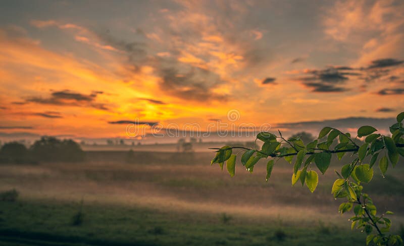 Magic sunrise stock image. Image of dawn, morning, meadow - 234953109