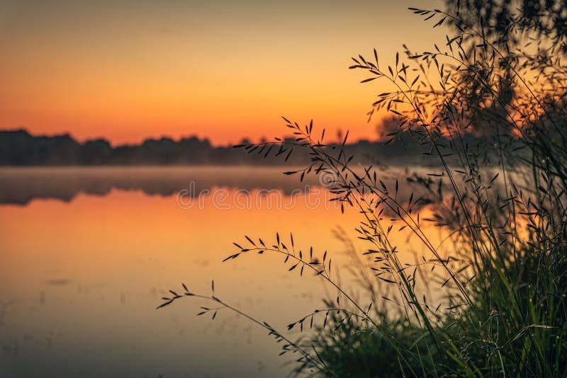 Magic sunrise stock image. Image of nature, landscape - 234954729