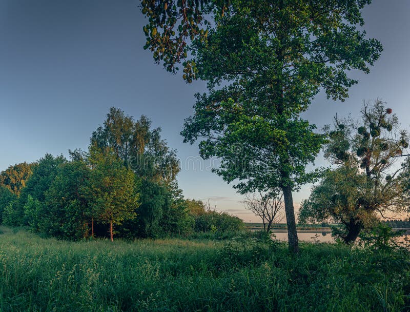 Magic sunrise stock photo. Image of meadow, lake, cloud - 234954908
