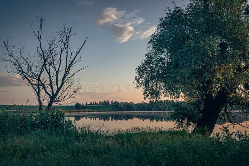 Magic sunrise stock photo. Image of pond, meadow, river - 234954916