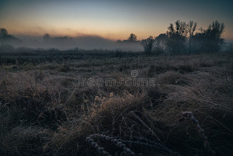 Magic sunrise stock photo. Image of morning, nature - 265347800