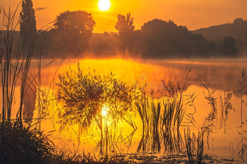 Magic sunrise stock photo. Image of meadow, nature, dawn - 265353110