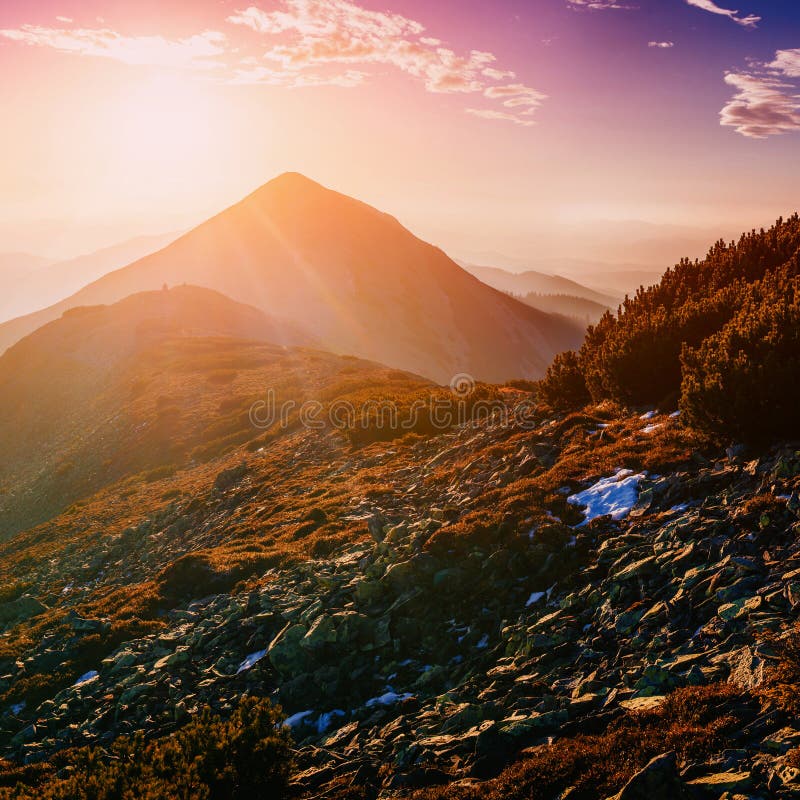 Magic Sunset in the Mountains of Ukraine Stock Photo - Image of autumn ...