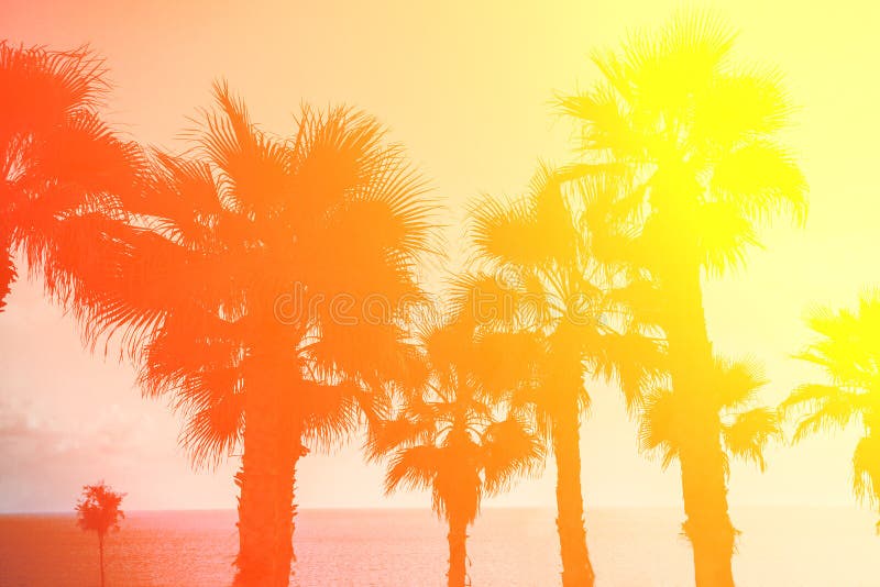 Magic Sunset Over a Tropical Beach Stock Image - Image of ocean ...