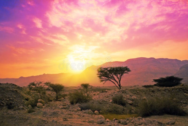 Magic sunset stock image. Image of mountain, judaic, nature - 36014139