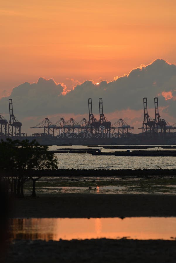 Magic Sunset in River and Mudland Stock Photo - Image of cloud, fish ...