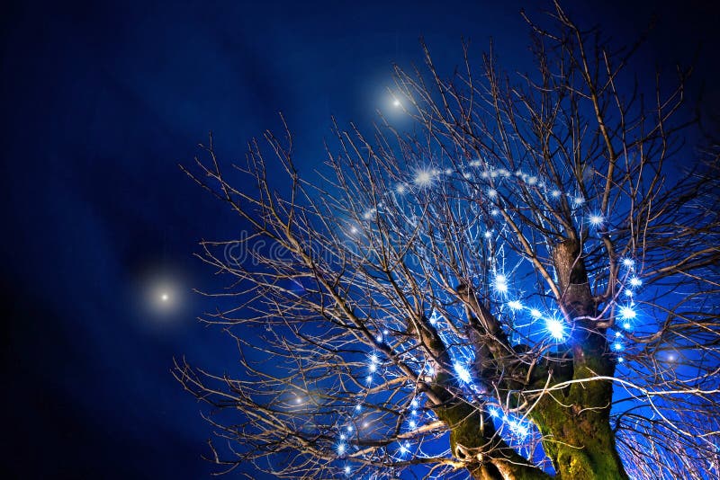 Magic tree stock photo. Image of treetop, skies, supernatural - 24711514