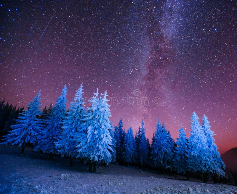 Magic Tree in Starry Winter Night Stock Image - Image of frost, outdoor ...